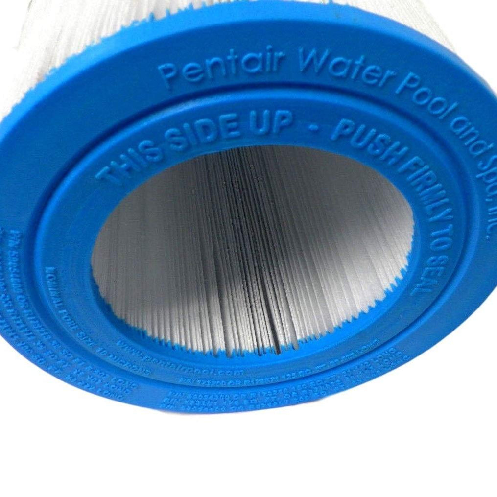 Clean and Clear Predator Filter Module (P/N: R173216) SHIPS IN 6 TO 8 ...